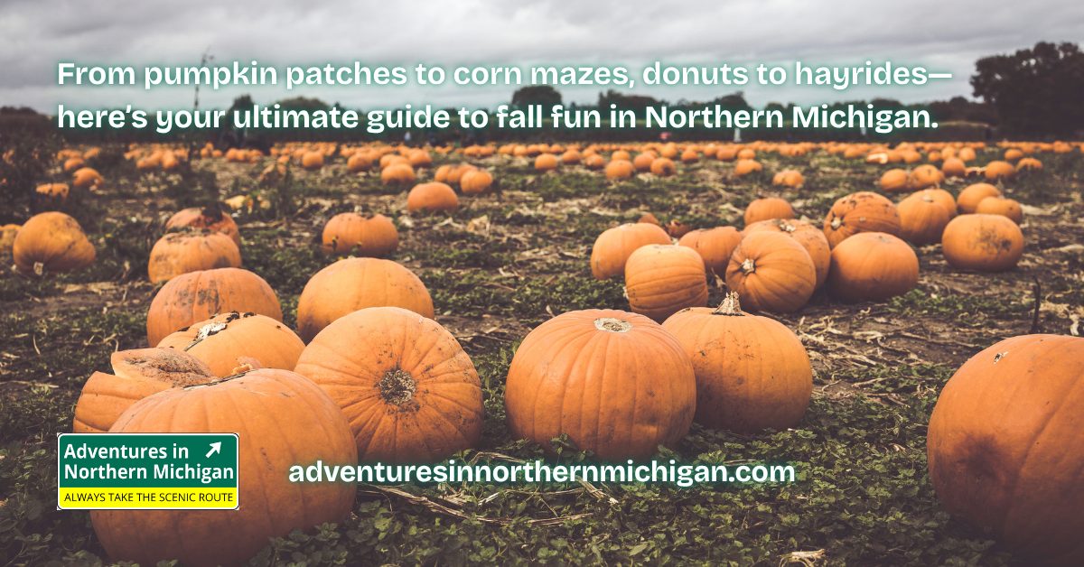 Northern Michigan Pumpkin Patches: A Seasonal Guide | Adventures in ...